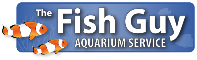 The Fish Guy Aquarium Service MN